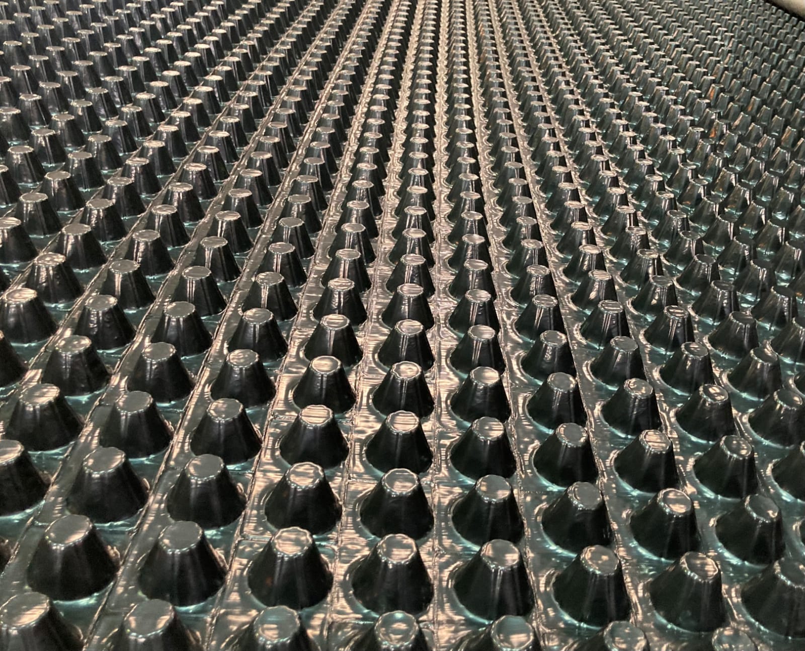 Cuspate Drains – alyaf